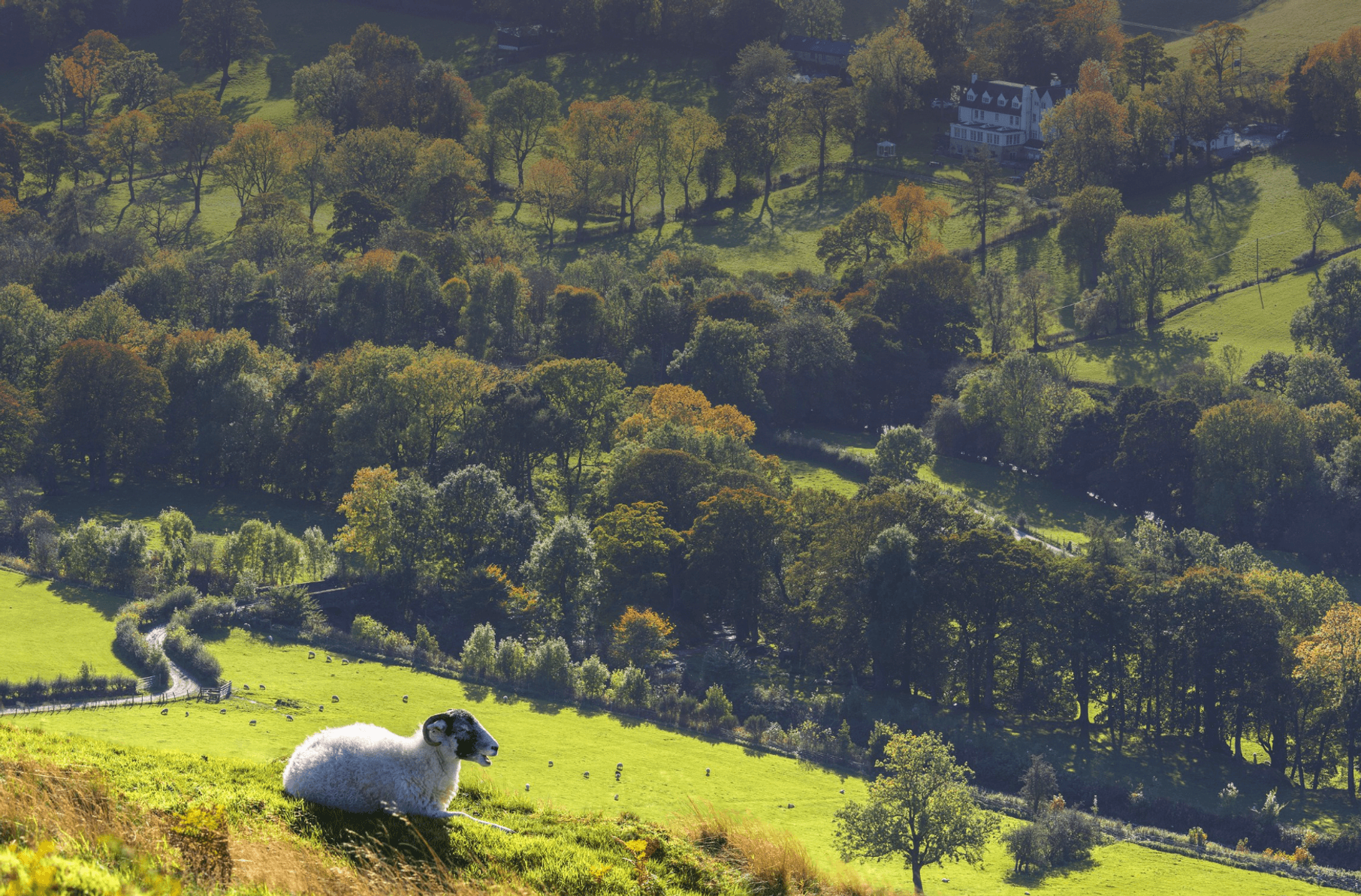 English boutique hotel | HotelTime Solutions